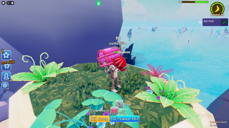 Discuss Everything About Monkey Raft Wiki | Fandom