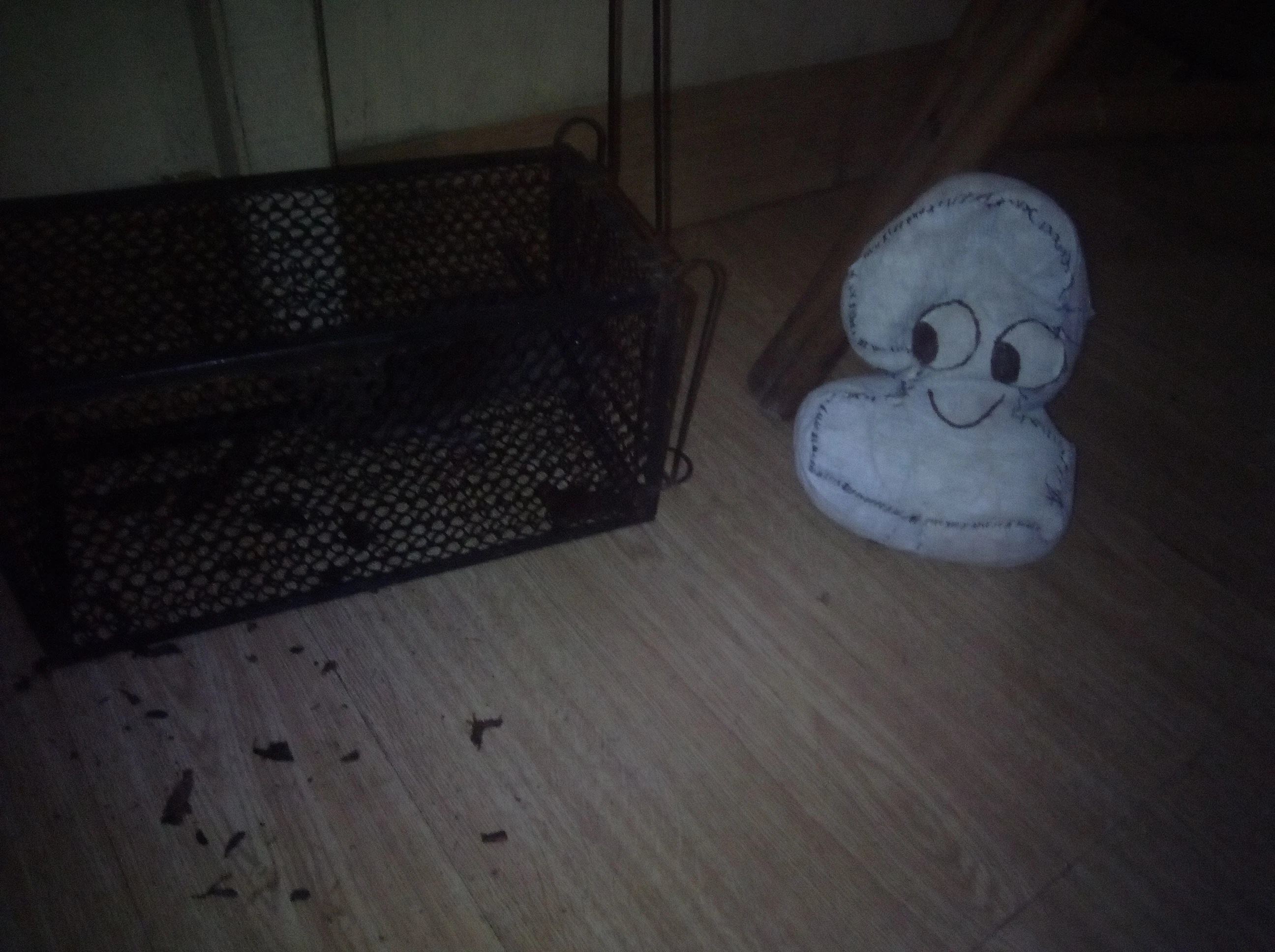 One and a rat | Fandom