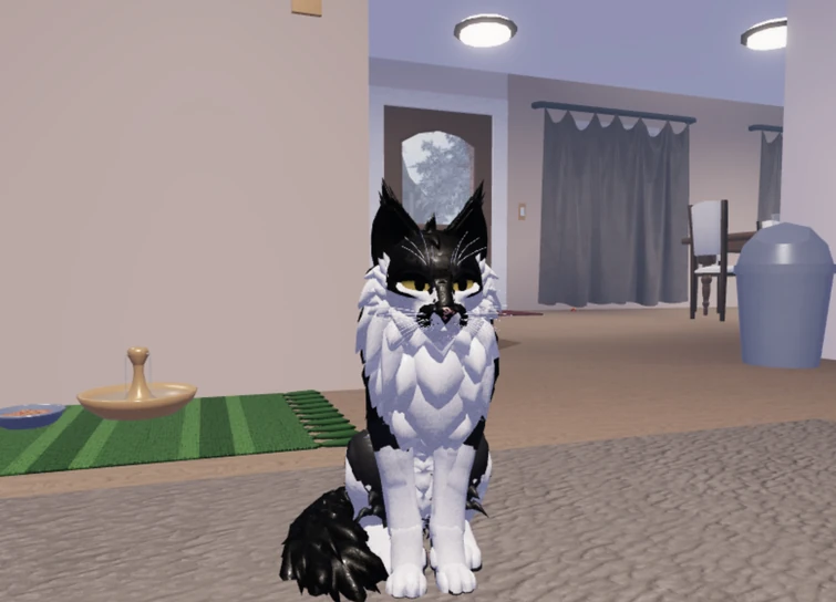 Making my cats in wcue and giving more info. | Fandom