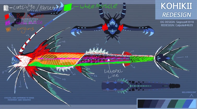 Let’s talk about: Kohikii | Fandom