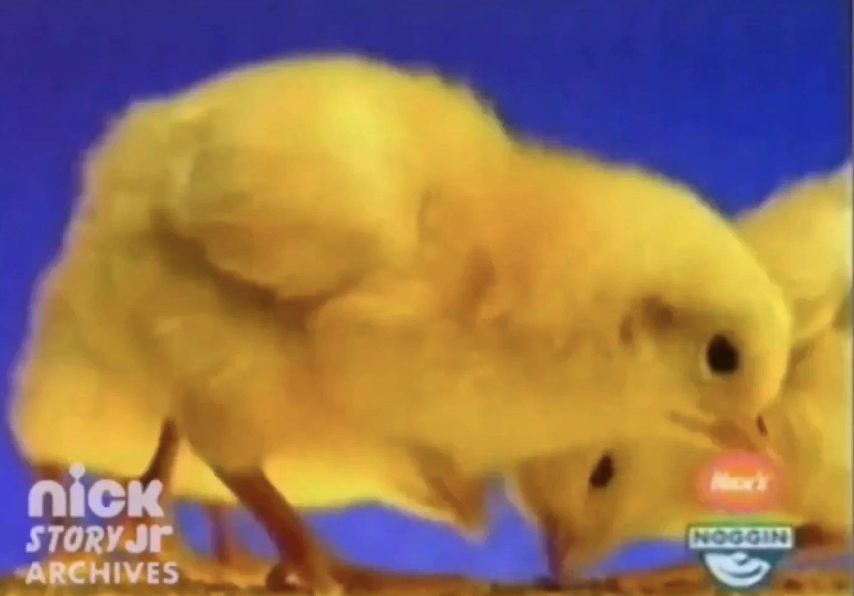 We need to find Chickens On Critter Corner | Fandom