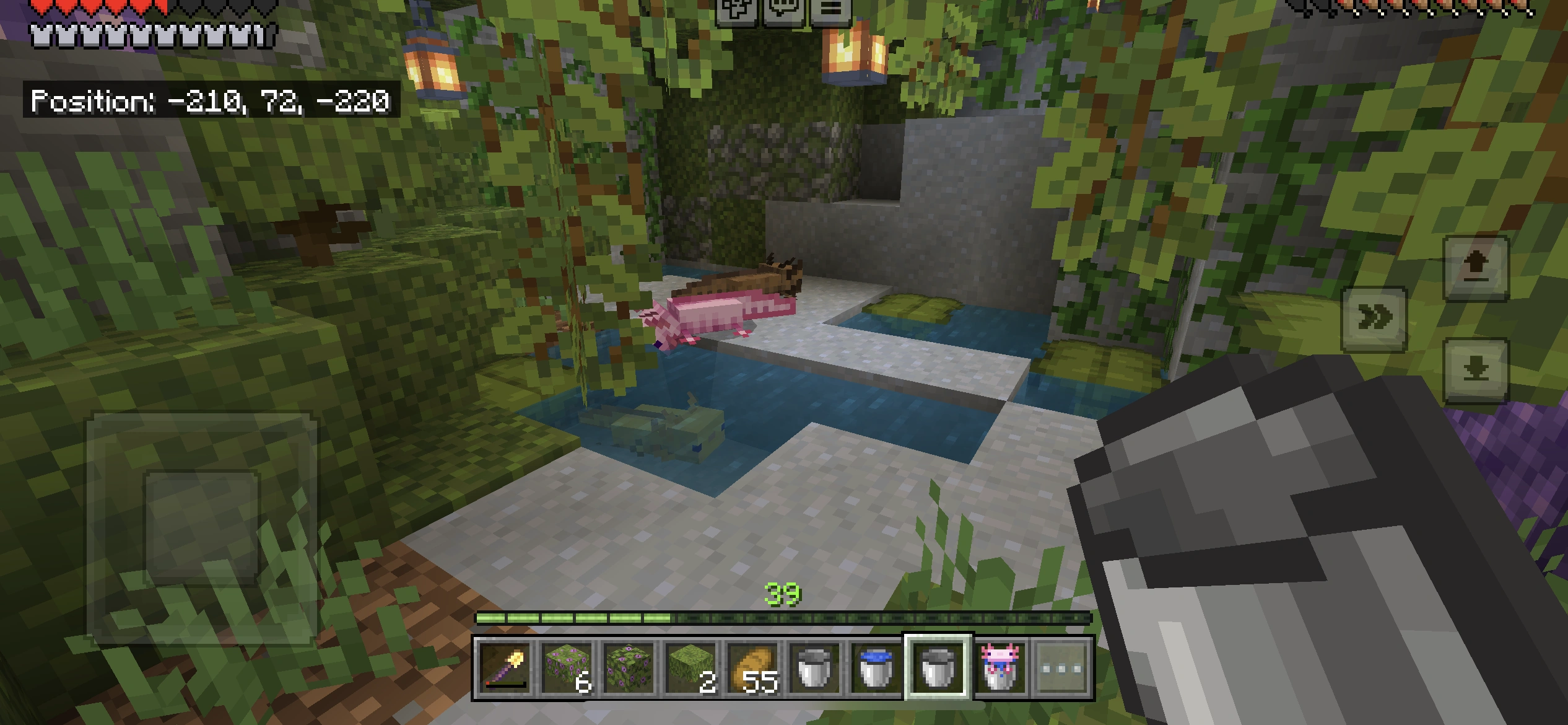 Woohoo, minecraft | Fandom