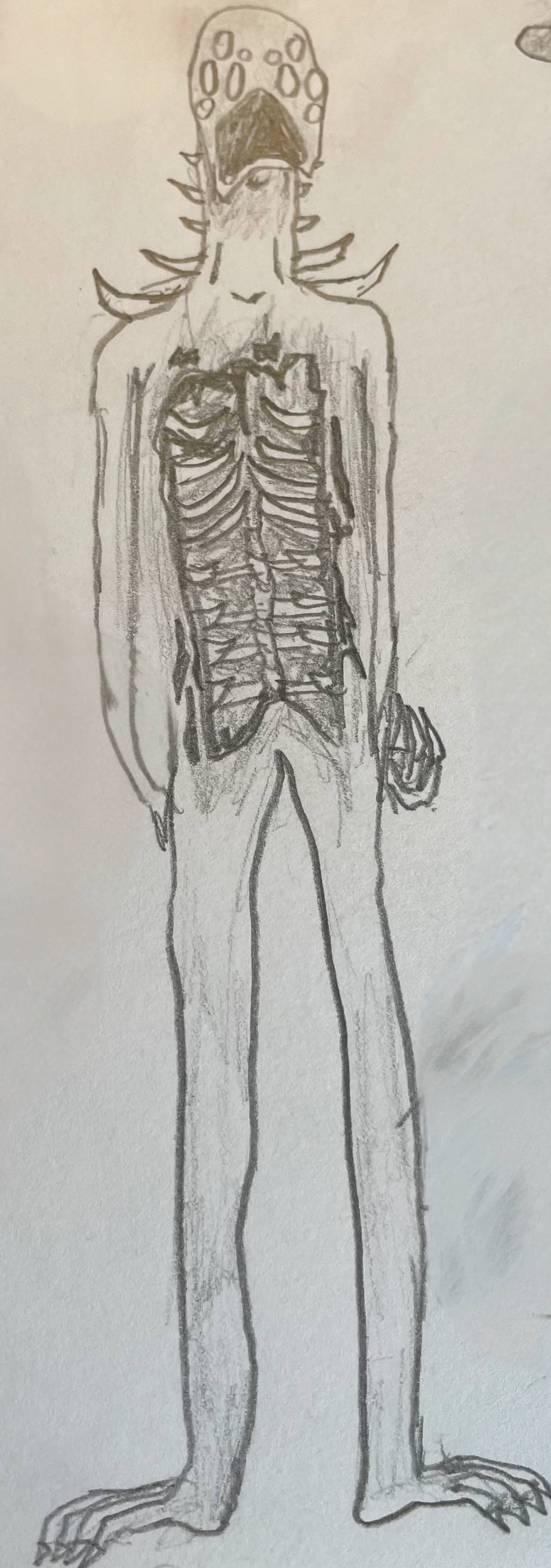 The Wanderer (030) | 001 Wiki | Fandom