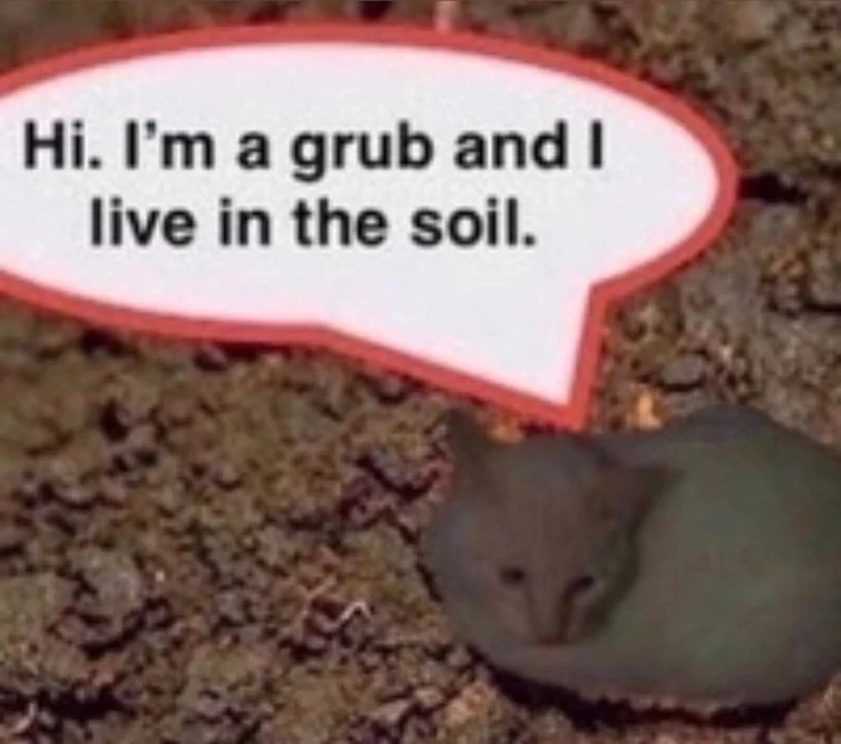 Hi. I'm a grub and I live in the soil. | Fandom