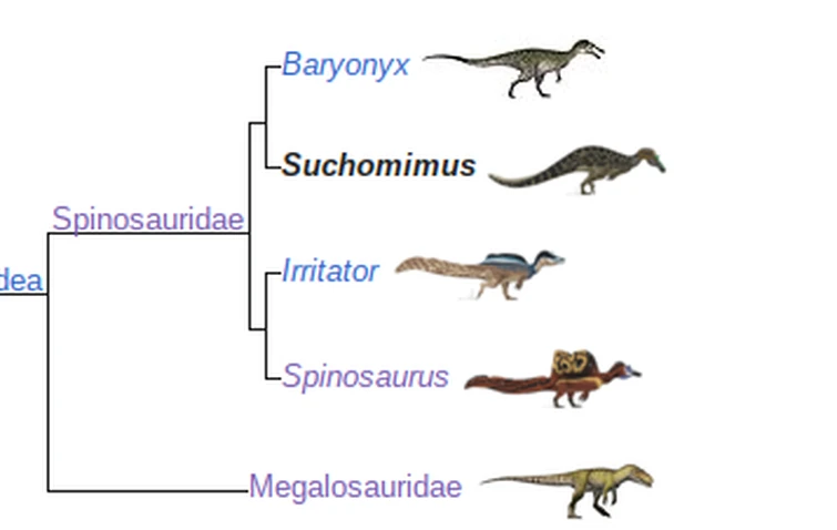 I got a theory about Suchomimus | Fandom