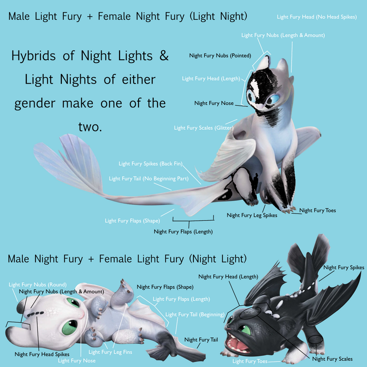 What I Think Night Lights Can Look Like Fandom