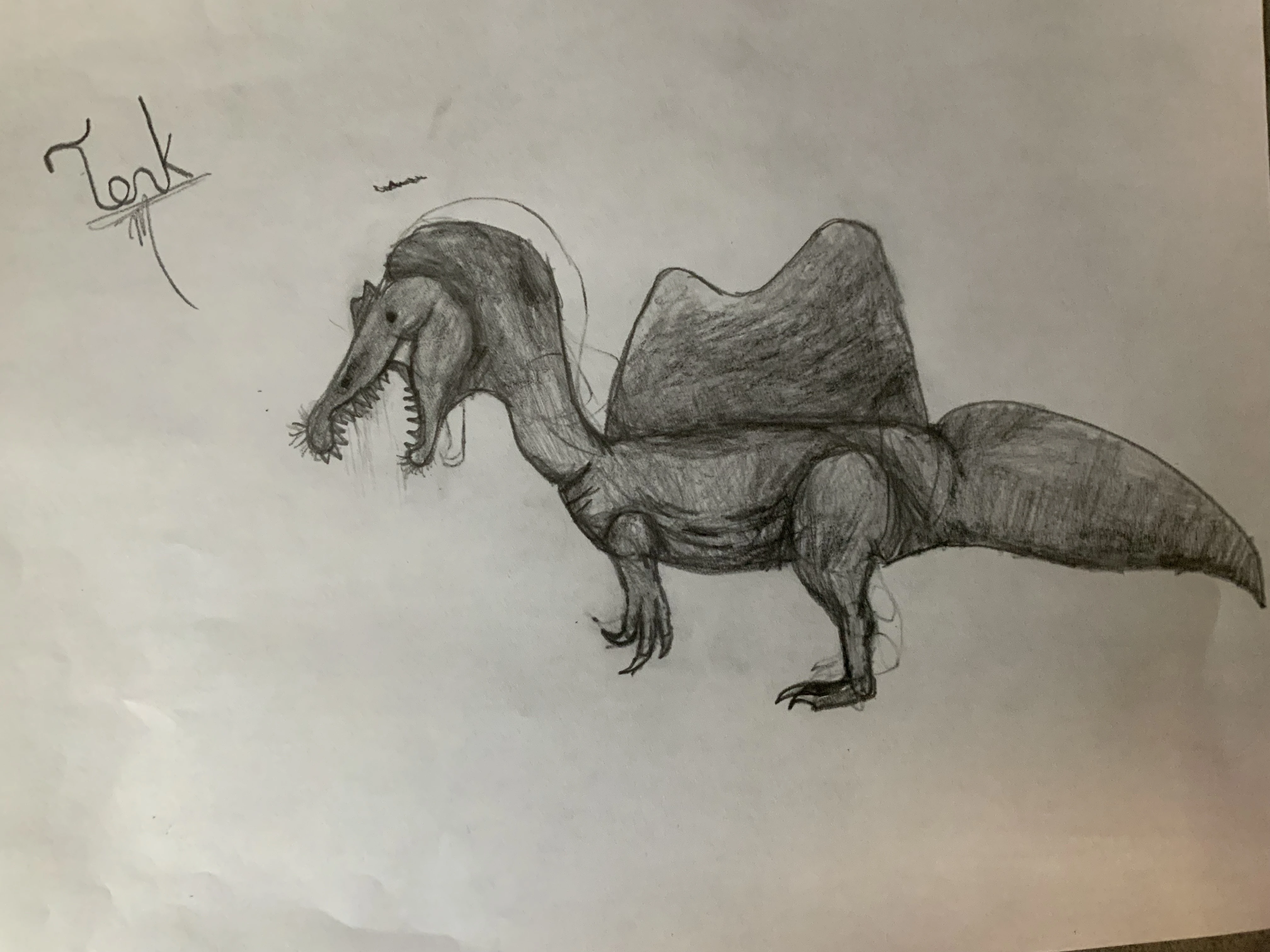 Spinosaurus Pencil Art | Fandom