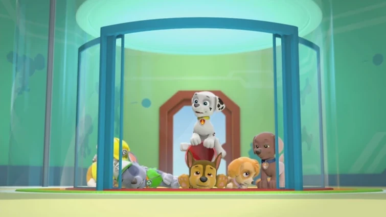 Discuss Everything About PAW Patrol Wiki | Fandom