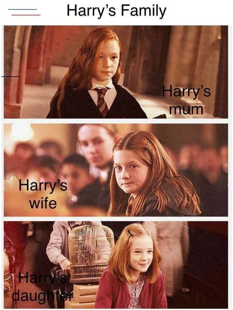 Ginny Memes | Fandom