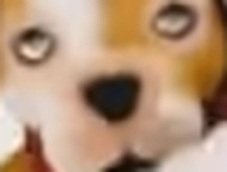 Posibles capturas que vienen de un video perdido del perro chacarron ...