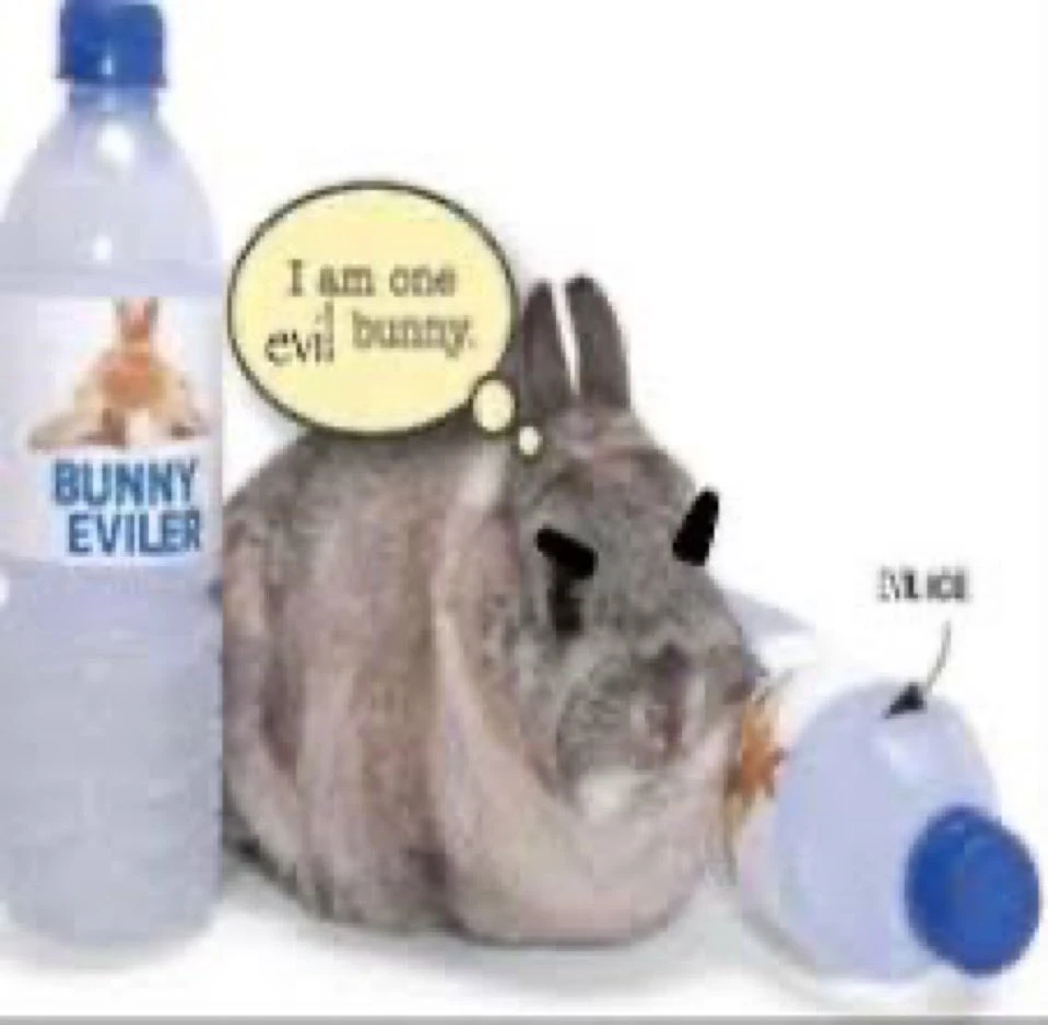 hello everypony | Fandom