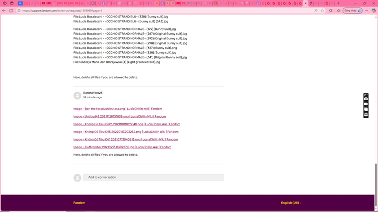 Request delete files - Fandom staff allowed to delete all files? | Fandom