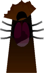 Durple's onslaught finalized | Fandom