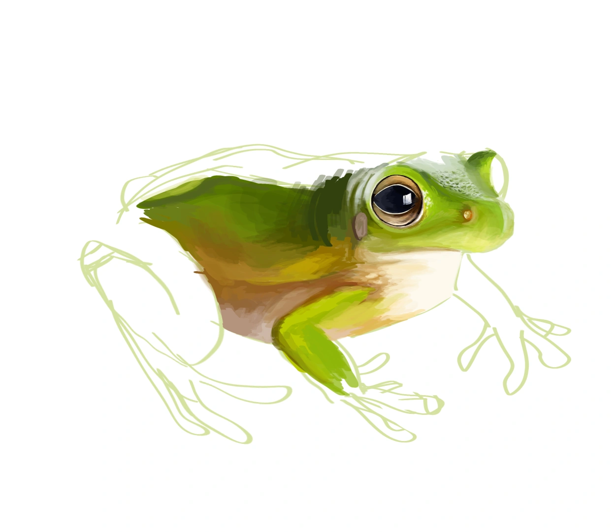 ribbit…… | Fandom