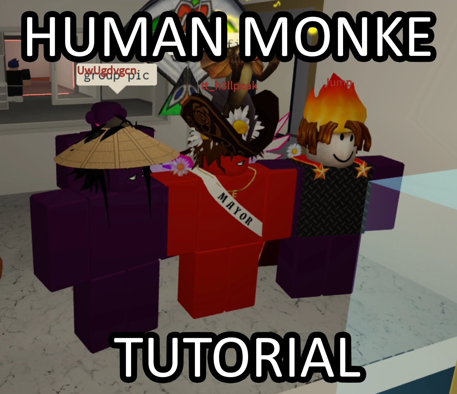 The Definitive Human-Monke Guide | Fandom