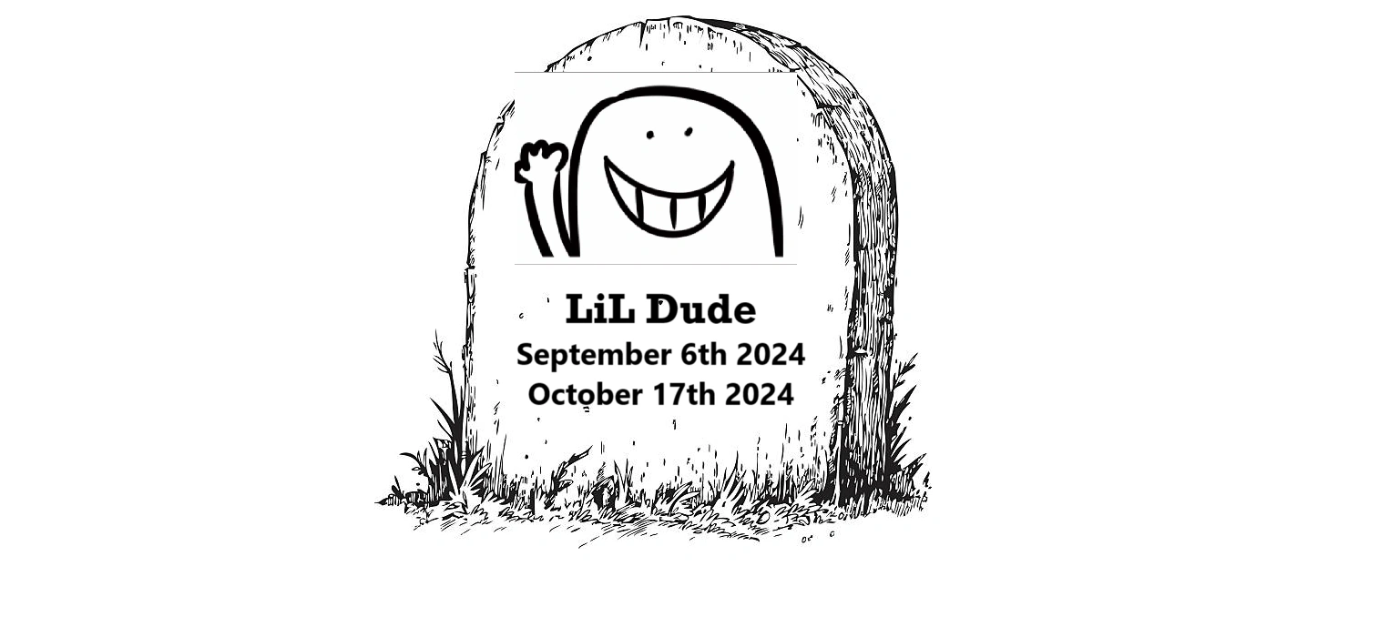 RIP LiL Dude | Fandom