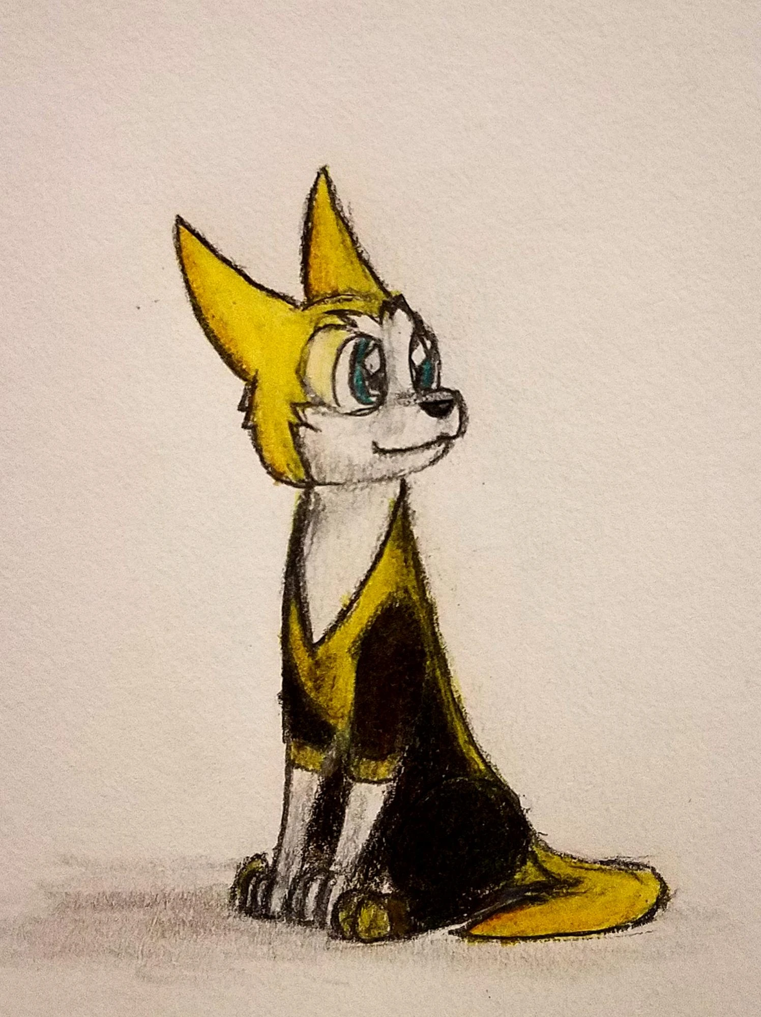 A Boltund Drawing | Fandom