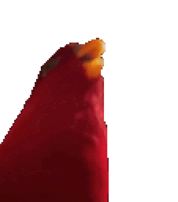 BFB 30 Delated sence | Fandom