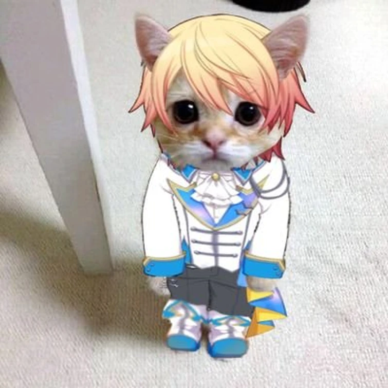 why did i make this post | Fandom