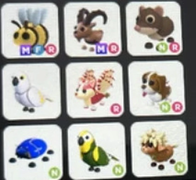 WHAT CAN I GET FOR THESE | Fandom