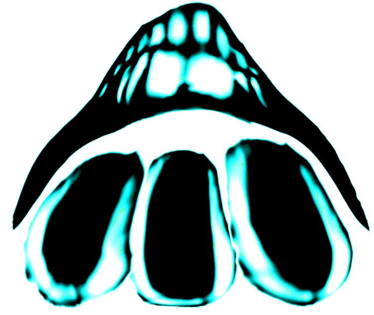 Discuss Everything About ROOMS: Low Detailed Wiki | Fandom