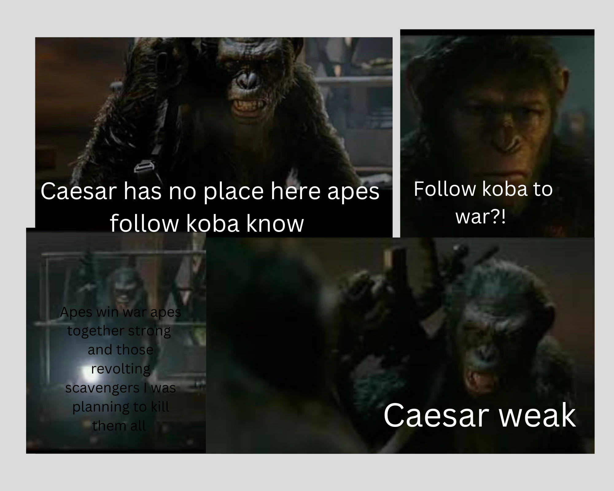 If Koba survives his fall at the end of dawn of the planet of the apes ...