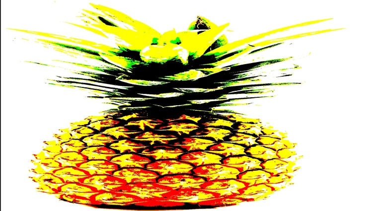 Back to normal. | Fandom