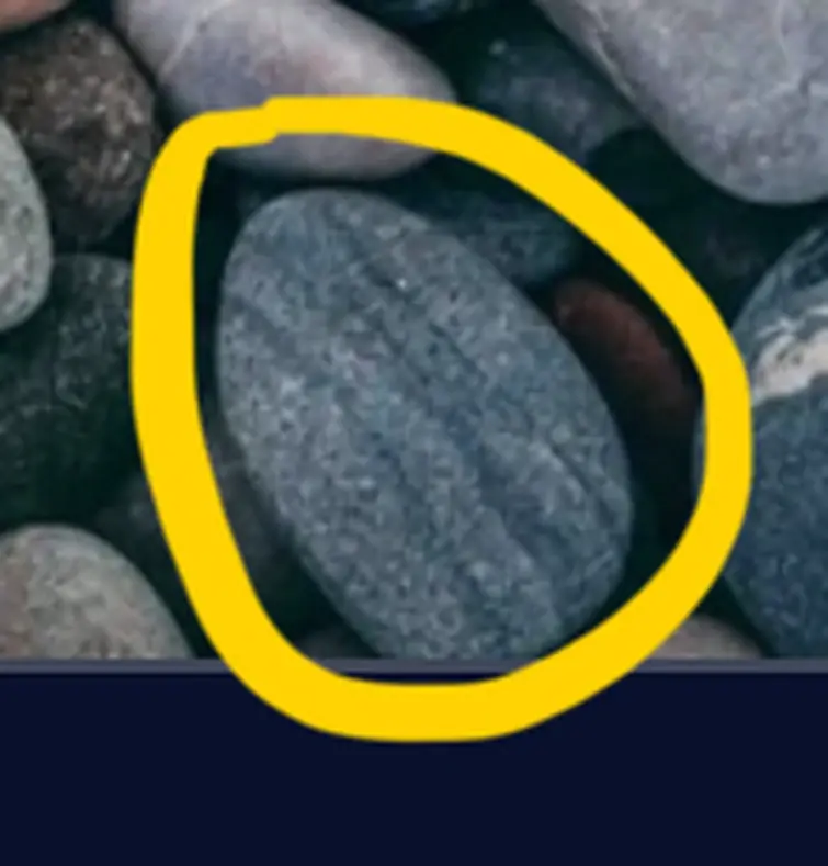 we need more rock | Fandom