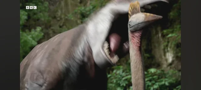 Dinopedia memifies these images | Fandom