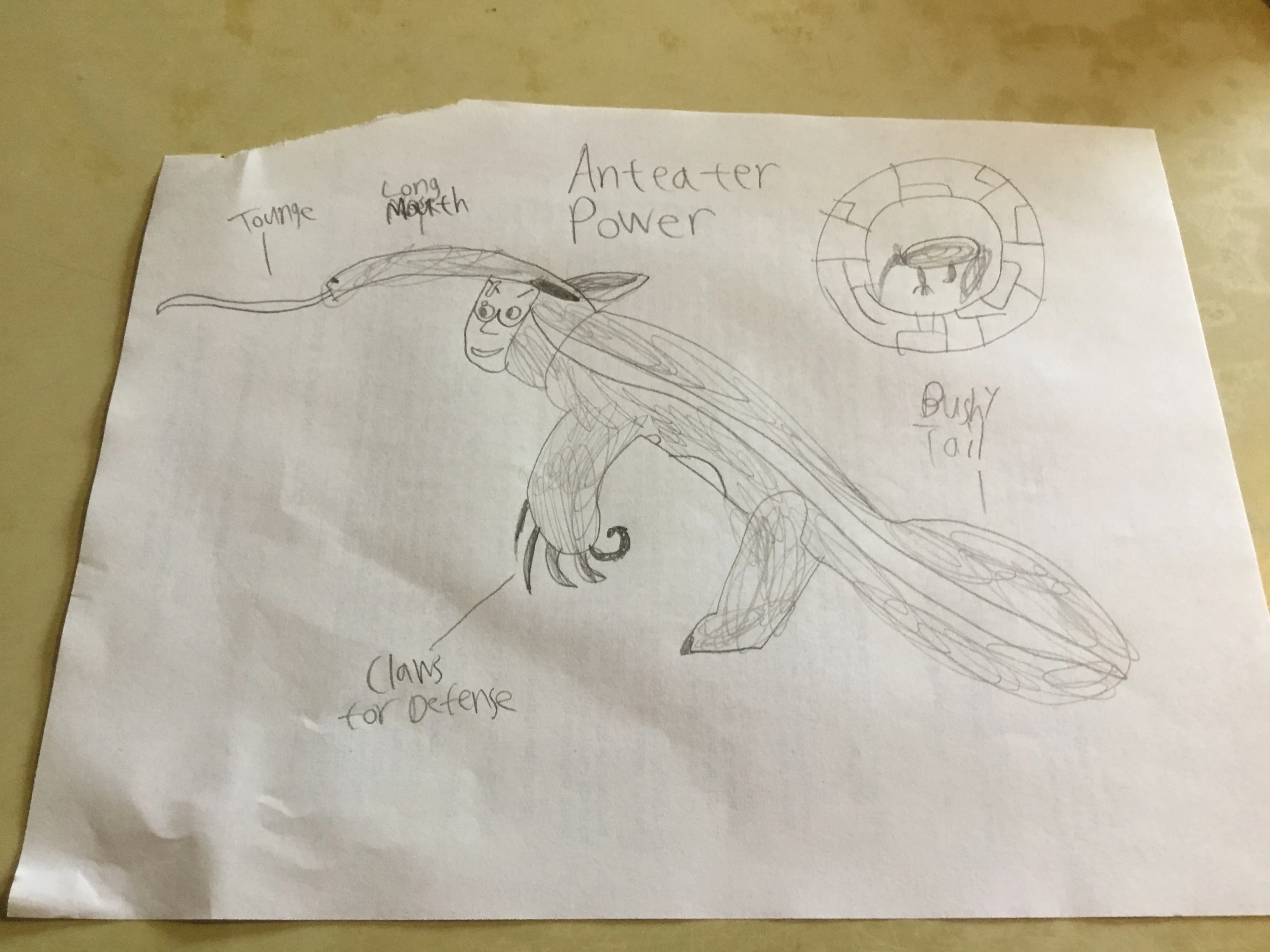 Anteater Power | Fandom