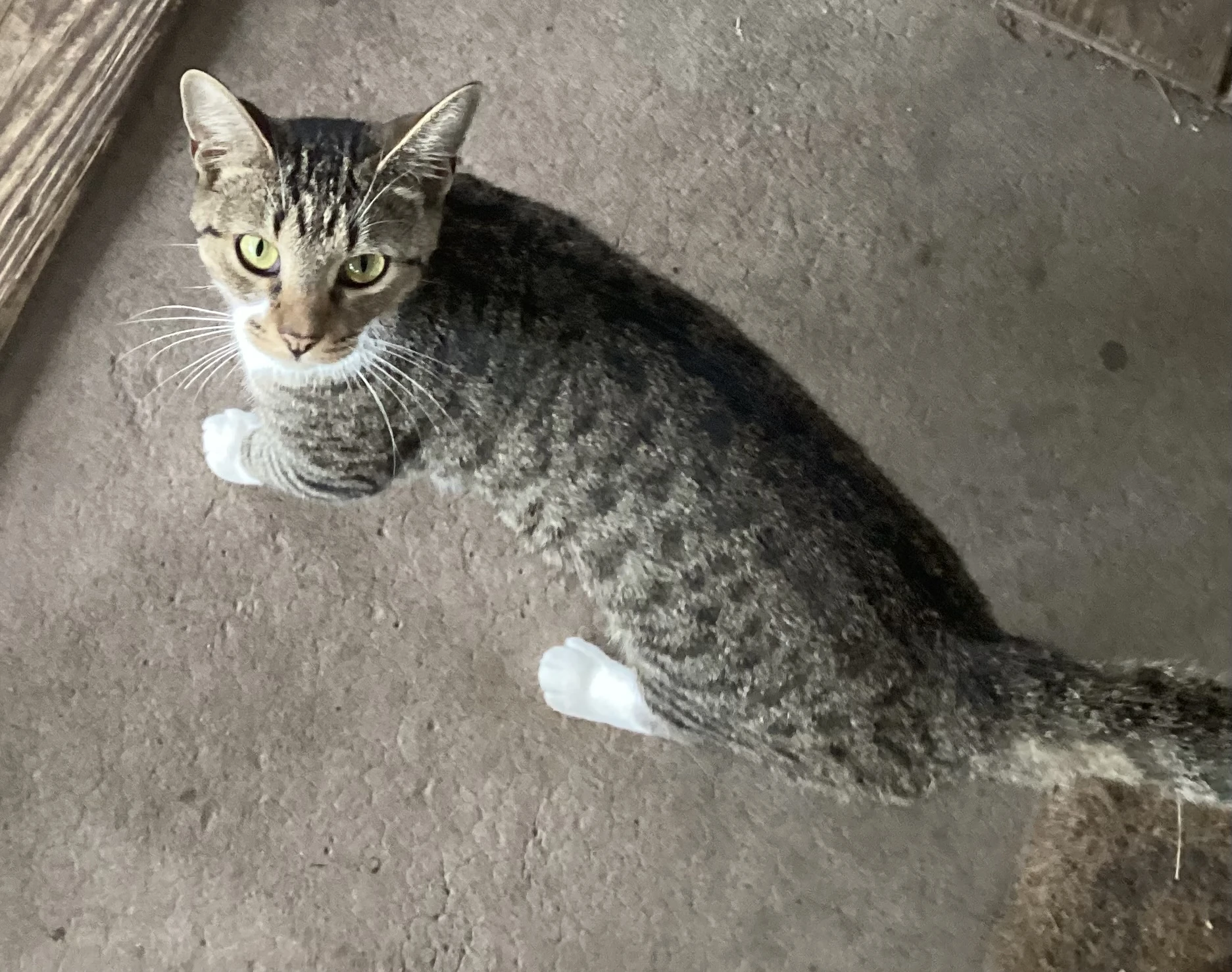 Look at this goofy goober | Fandom