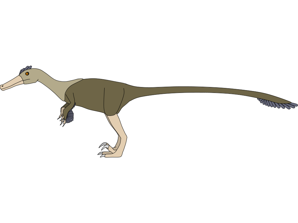 Austroraptor | Fandom