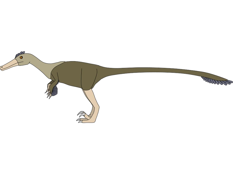 Austroraptor | Fandom