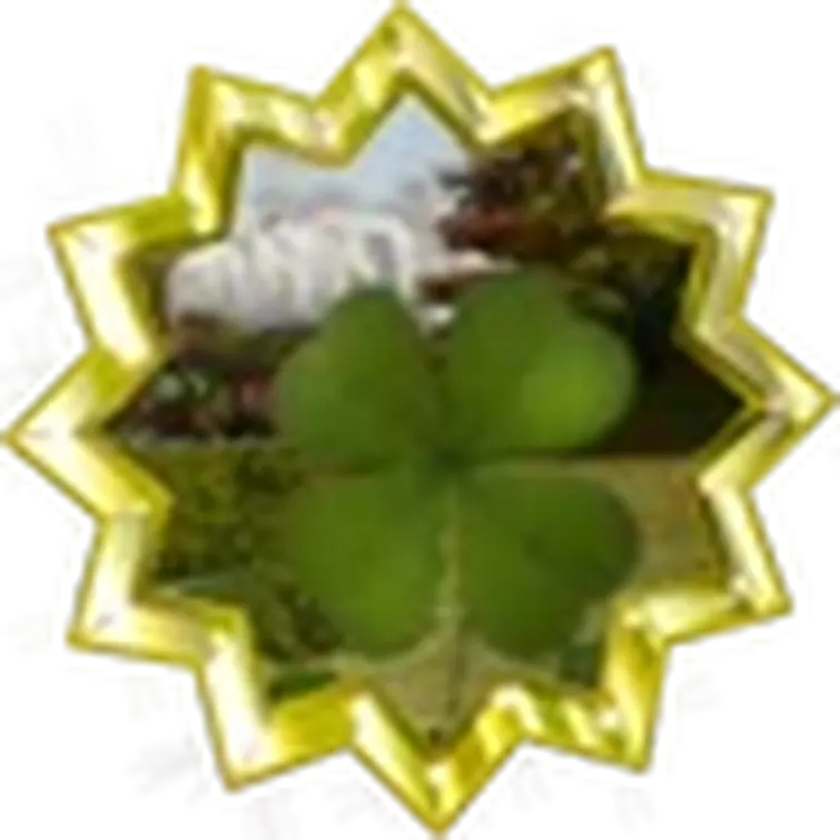 Lucky Edit Badge | Fandom