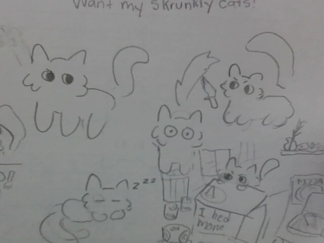 my skrunkly cats | Fandom