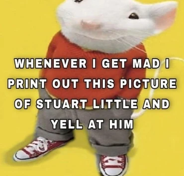 Opinion on Stuart Little? | Fandom