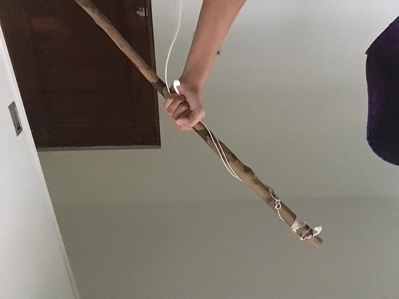 This is my staff | Fandom