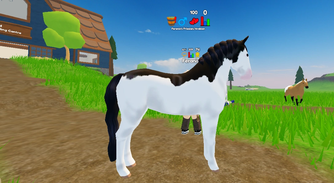 Friesian/Arabian with Black splash overo coat for trade | Fandom