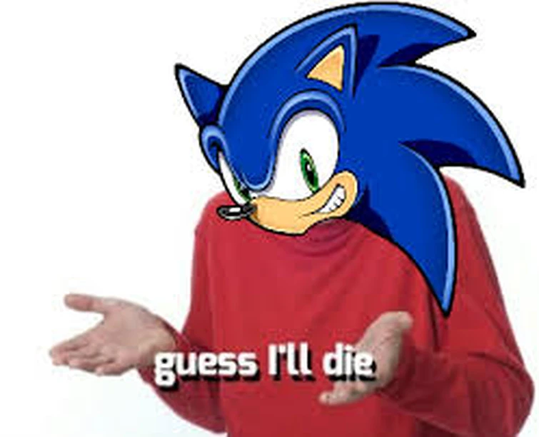 POV you tried to argue about sonic with someone that knows the entirety ...