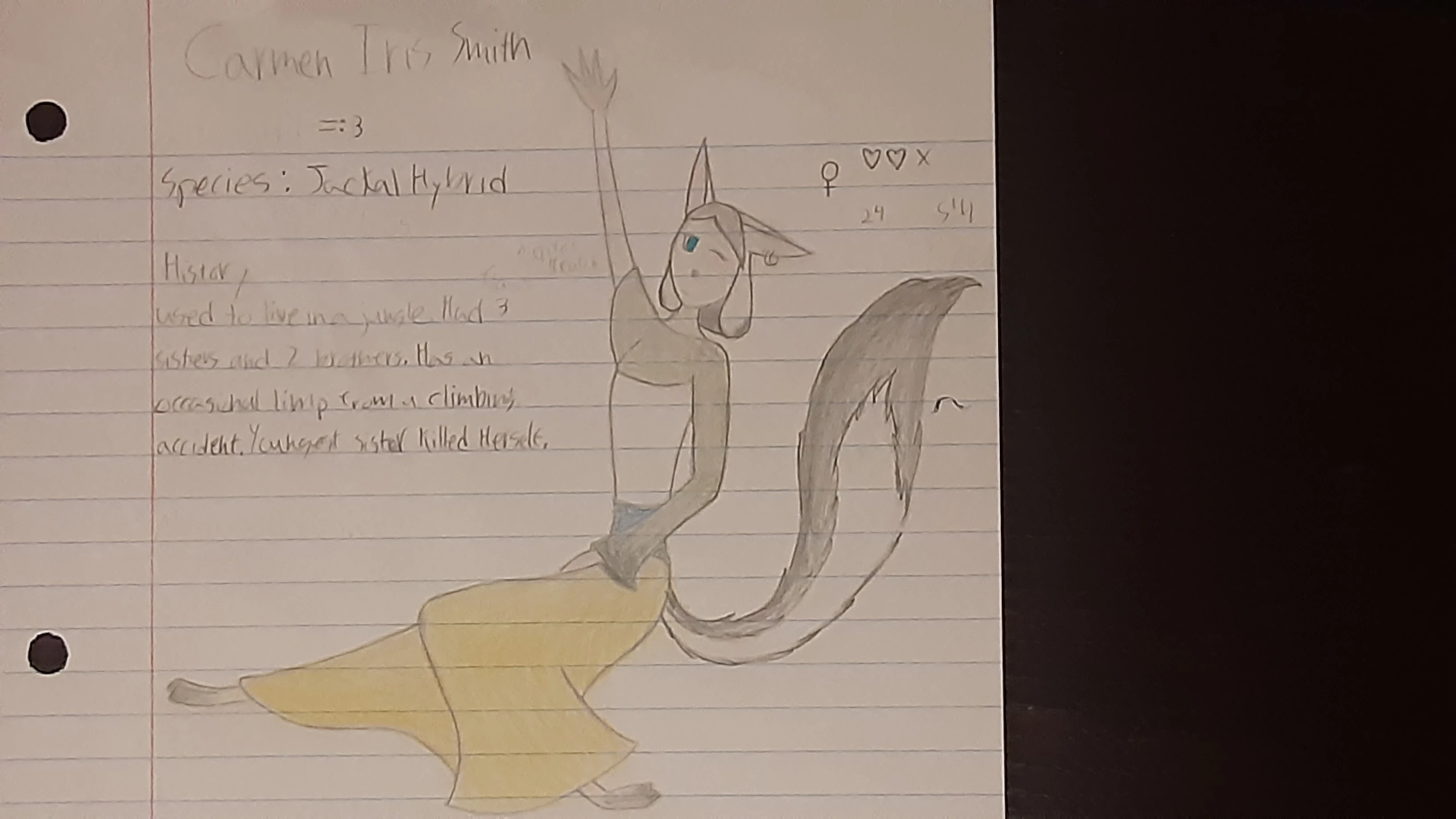 Finally went and drew out my DSMP oc | Fandom