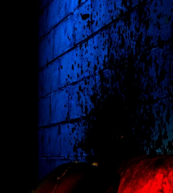 VICTIM 56 | 01001100 01001001 01000110 01000101 Wiki | Fandom