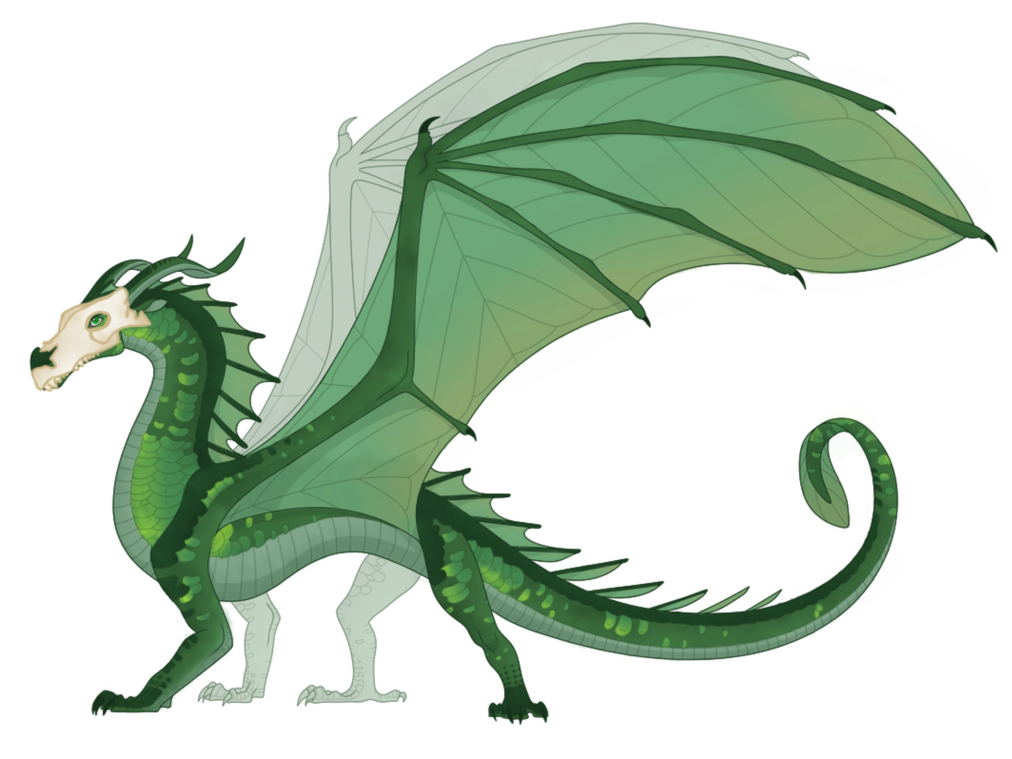 Turtle finally has an OC, so ask her stuff! | Fandom