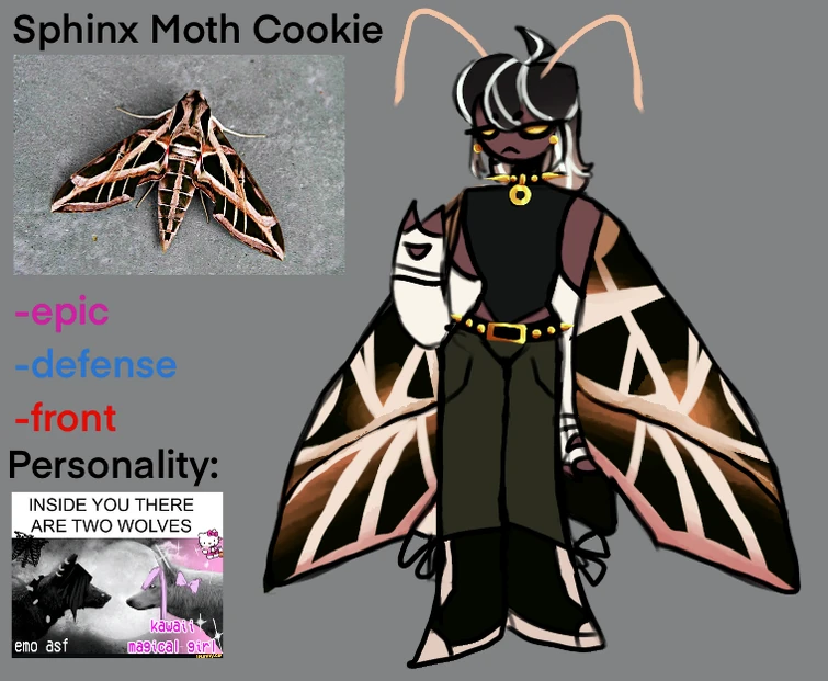 I made a bunch of designs for cookies based on moths | Fandom