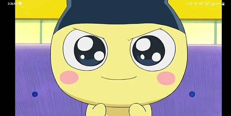 What do you think the tamas do for Easter? | Fandom