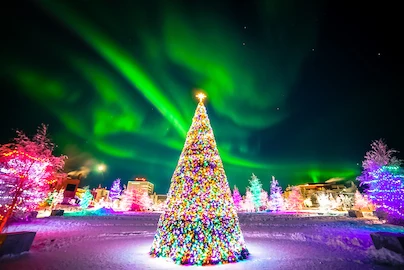 Merry Christmas, HSH Wiki Team! | Fandom