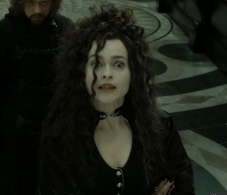 Memes (bellatrix) | Fandom