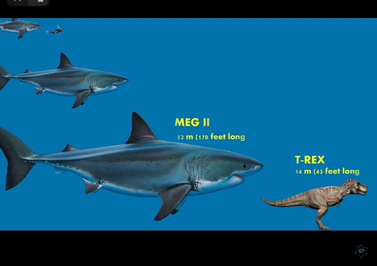 Megalodon Vs InGen Mosasaurus(TheMeg Vs Jurrasic World) | Fandom