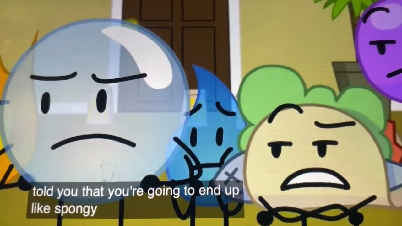bfdi anti privacy | Fandom