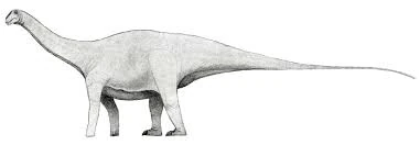 Which period of the Mesozoic were sauropods most successful in? | Fandom