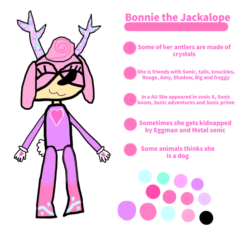 Meet my sonic OC | Fandom